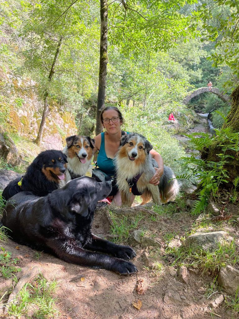 Accueil - Elevage Du Domaine De Nirémione - eleveur de chiens Berger ...